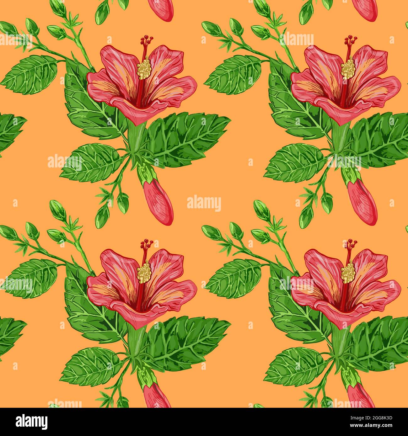 illustration of a seamless pattern of hibiscus plants flowers and ...