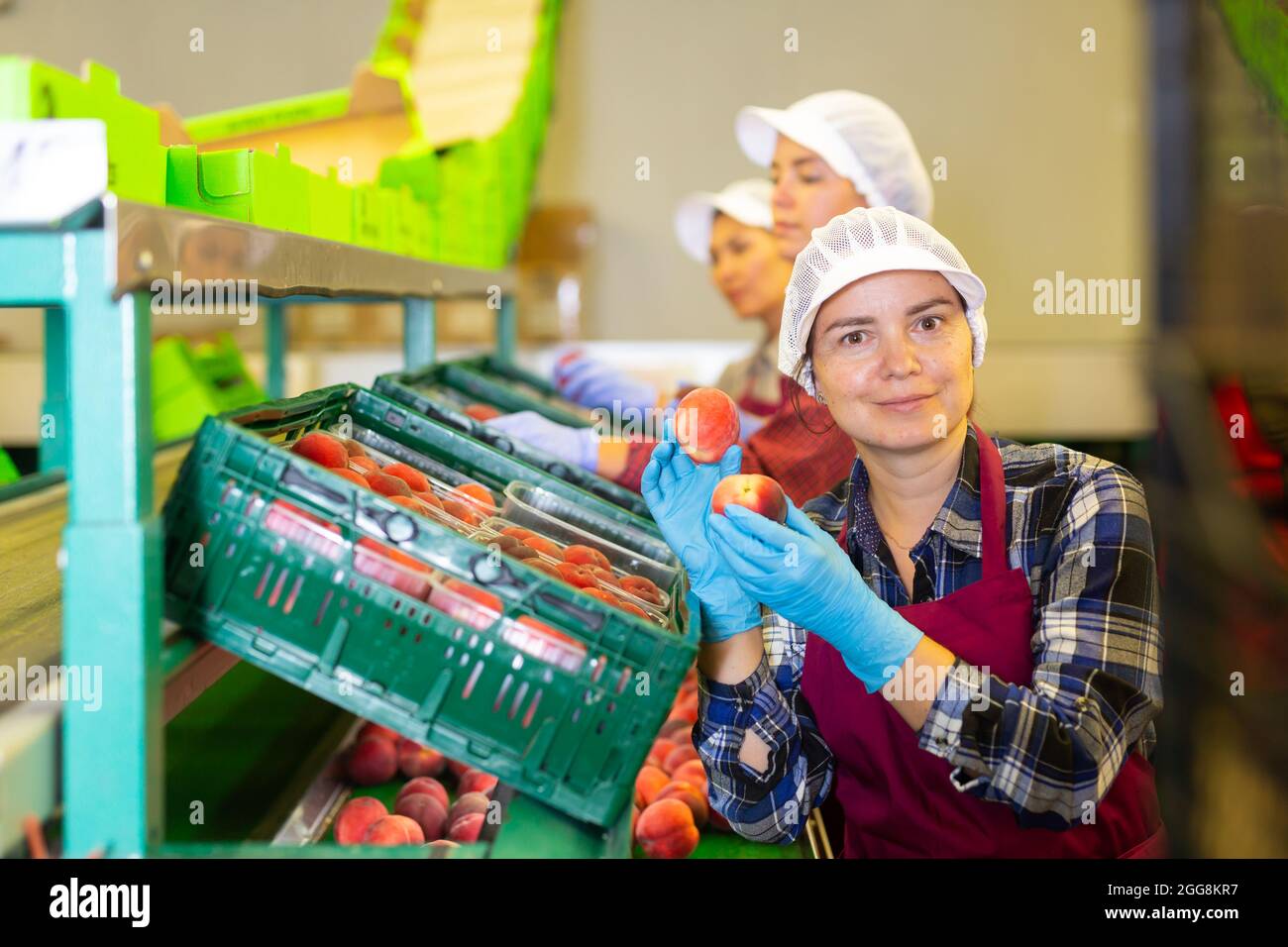 Three women working in sorting room Stock Photo - Alamy