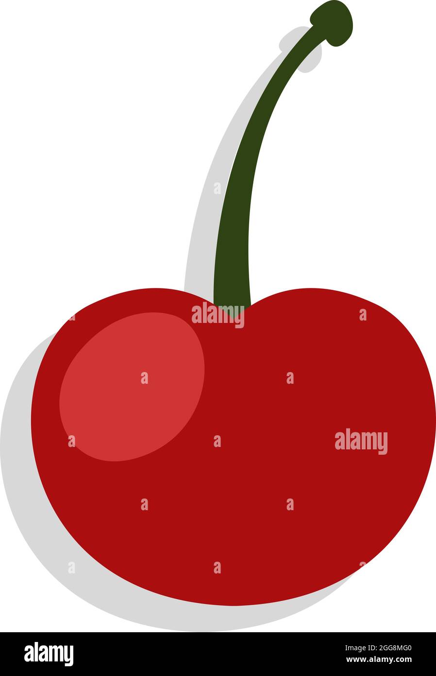 Red cherry, illustration, vector, on a white background Stock Vector ...