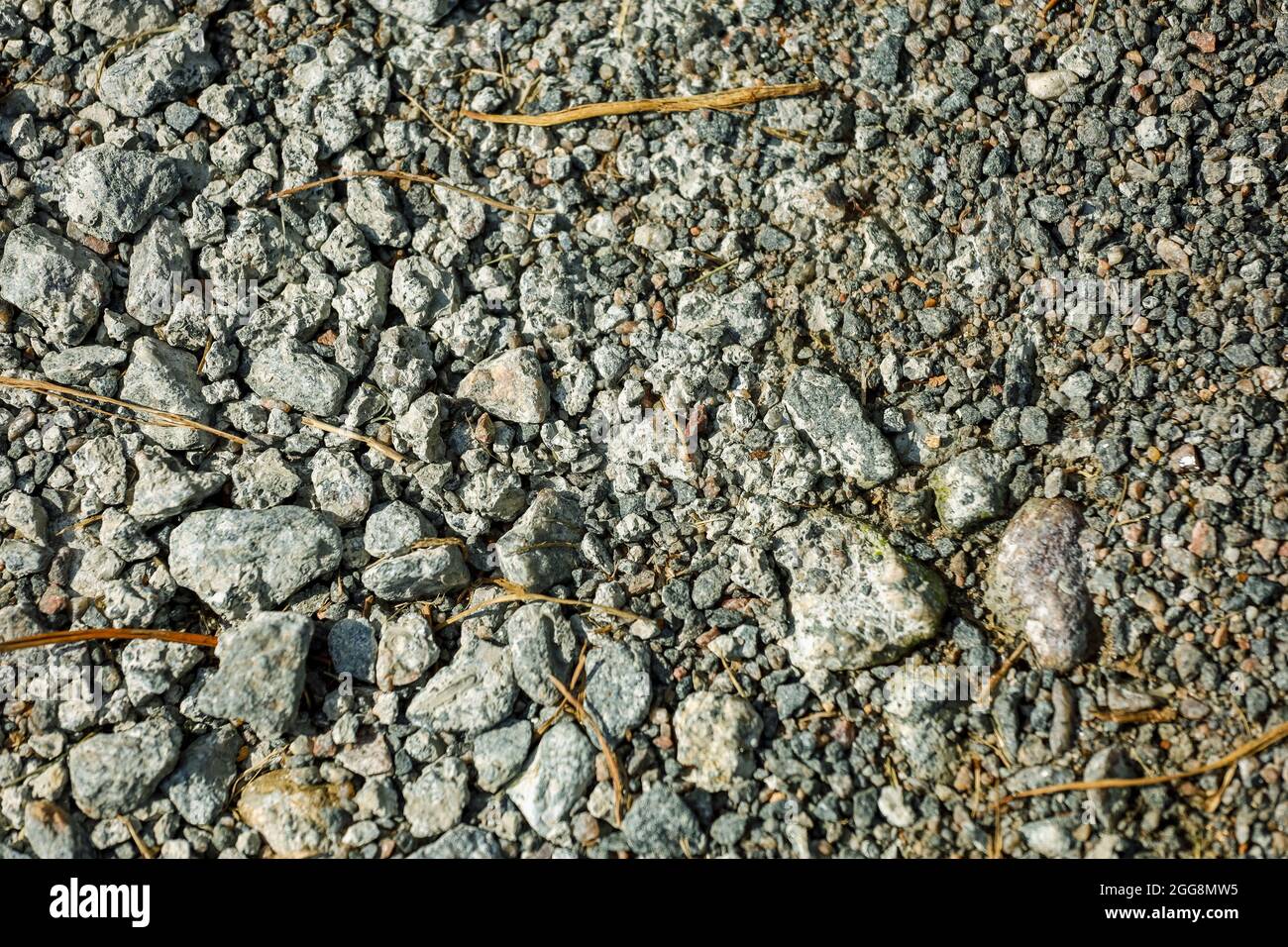 Background, small stones of gray color on a ground. High quality photo ...