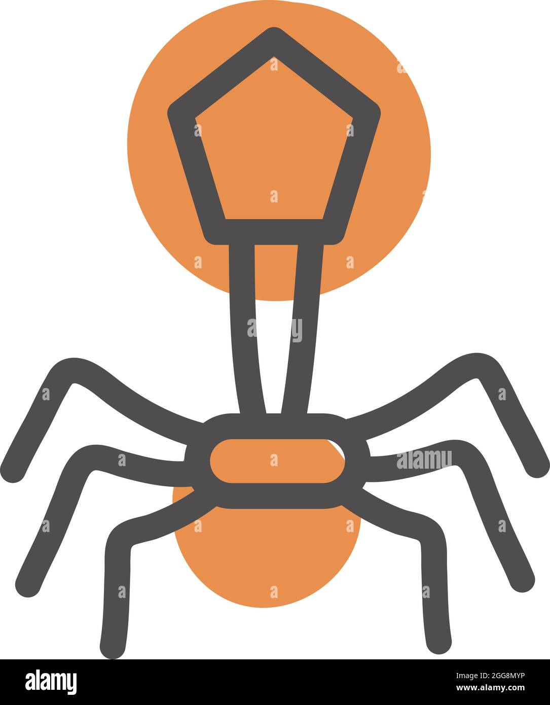 Spider bacteria, illustration, vector, on a white background Stock ...