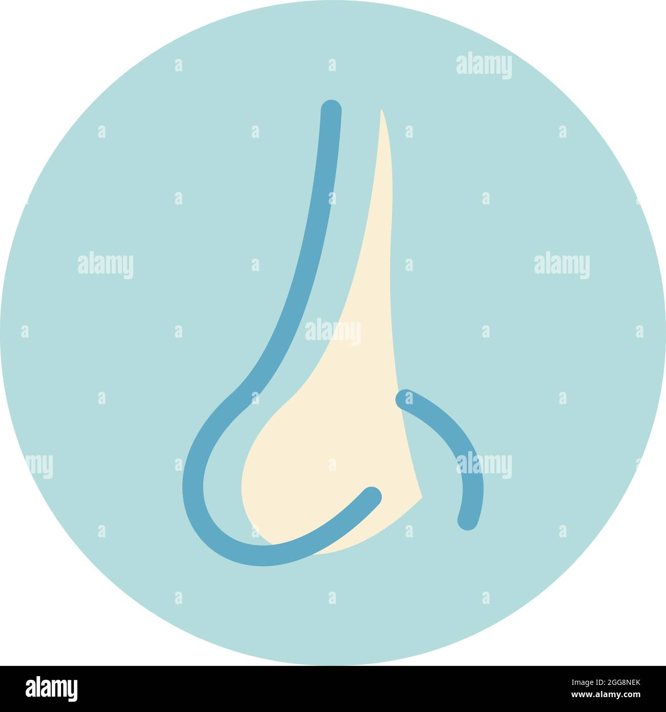 Human nose, illustration, vector, on a white background Stock Vector ...