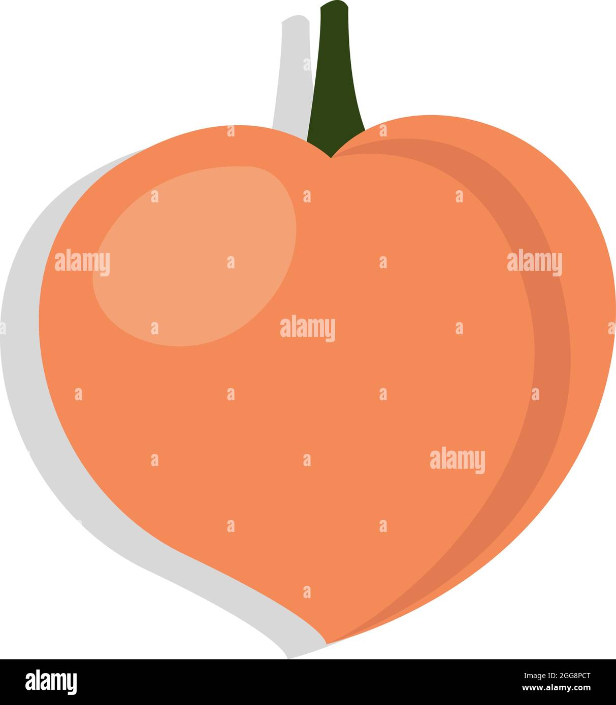 Orange peach, illustration, vector, on a white background Stock Vector ...