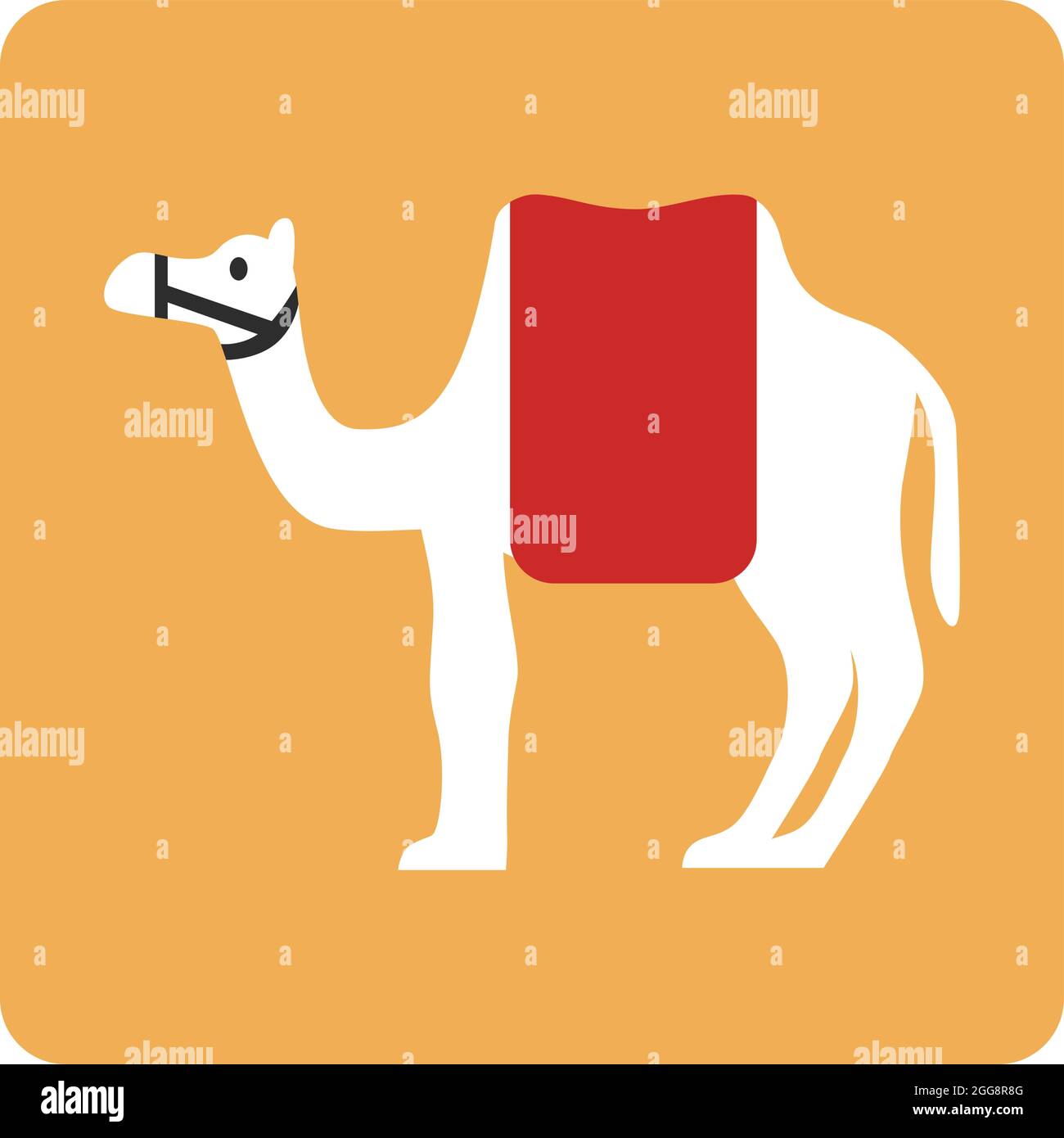 White camel, illustration, vector, on a white background Stock Vector ...
