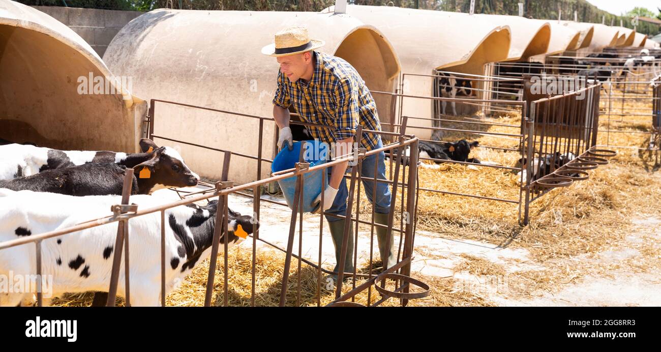 Cow breeder hi-res stock photography and images - Alamy