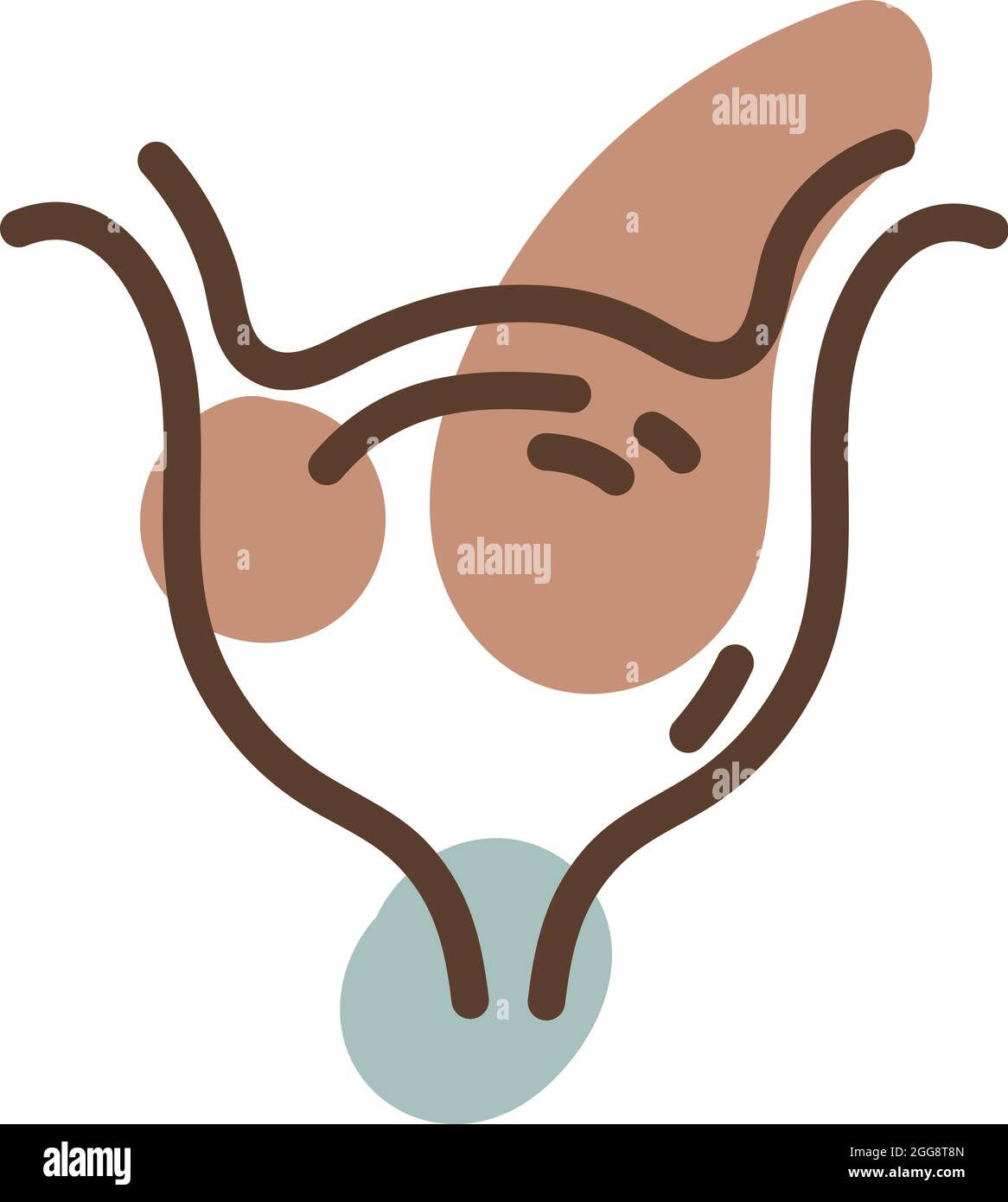 Human kidney hi-res stock photography and images - Alamy