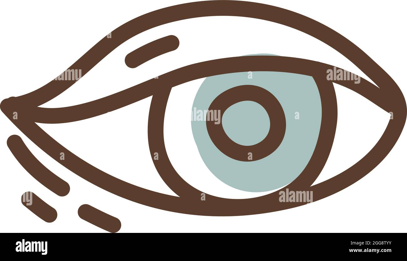 Human eye, illustration, vector, on a white background Stock Vector ...