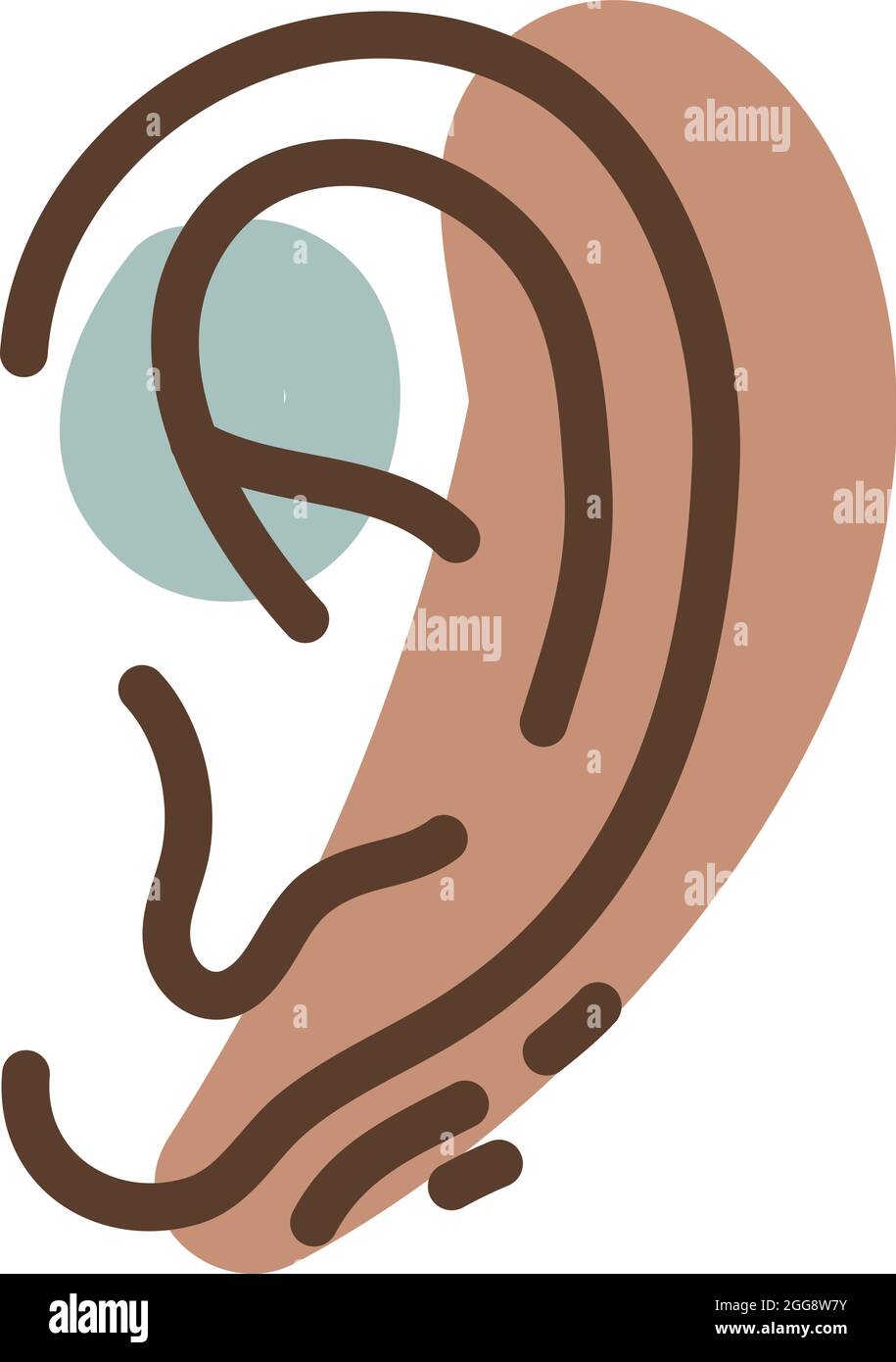 Human ear, illustration, vector, on a white background Stock Vector ...