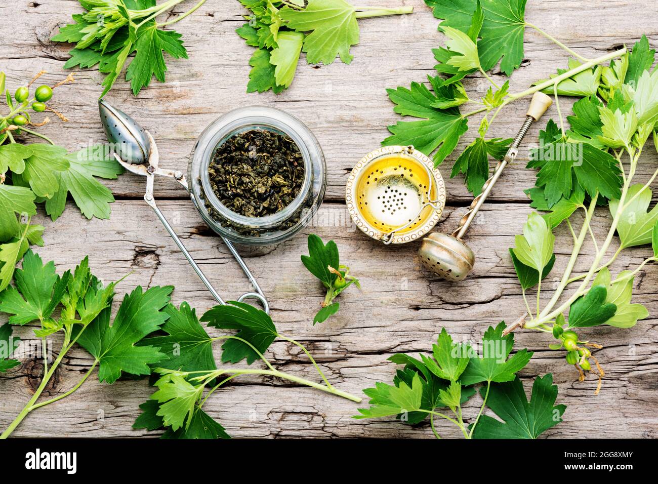 Black currant leaves tea hi-res stock photography and images - Alamy