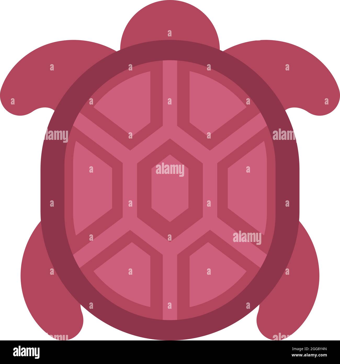 Pink turtle, illustration, vector, on a white background Stock Vector ...