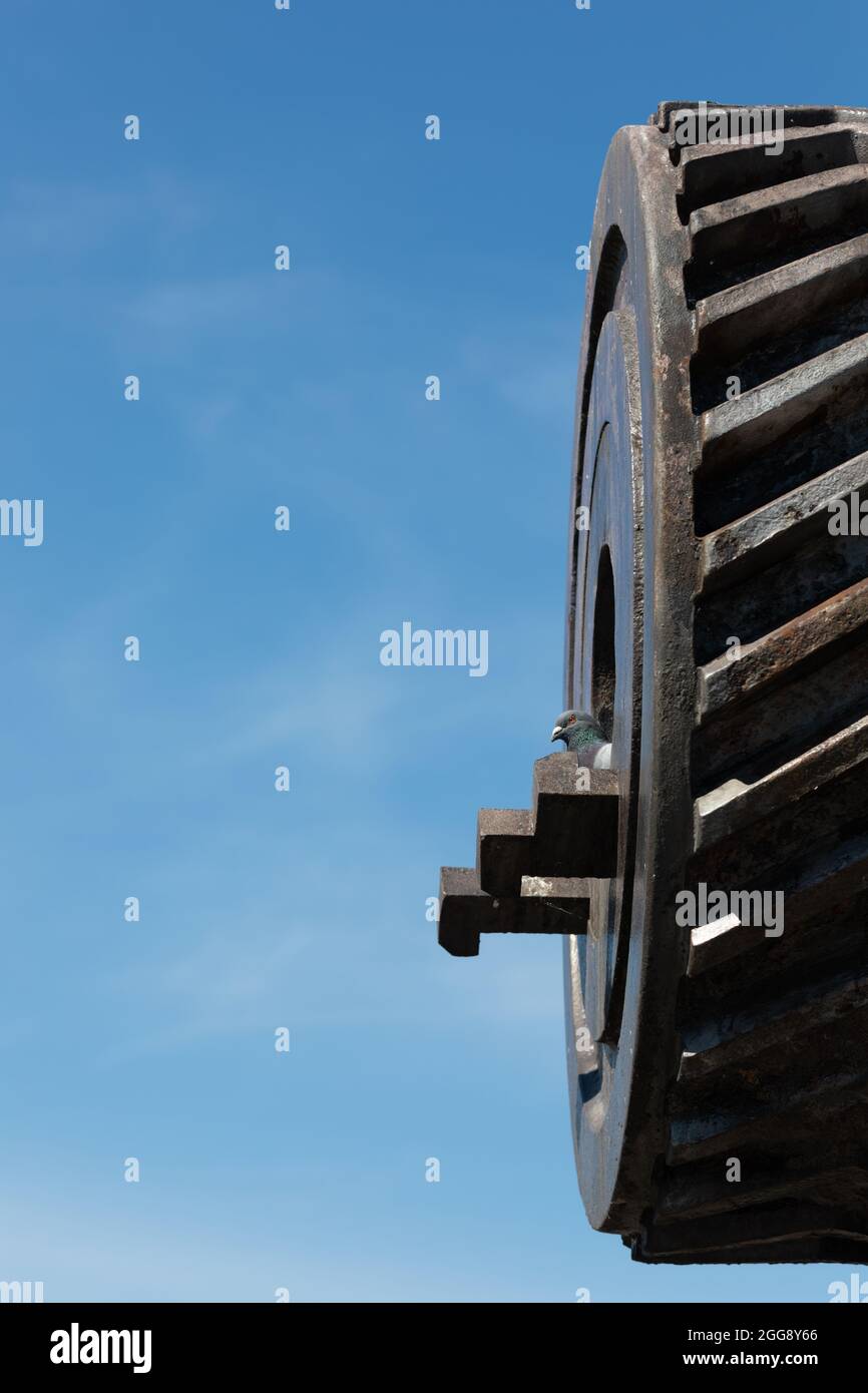 Thomas-converter, Dortmund Phoenixsee on the grounds of former ...