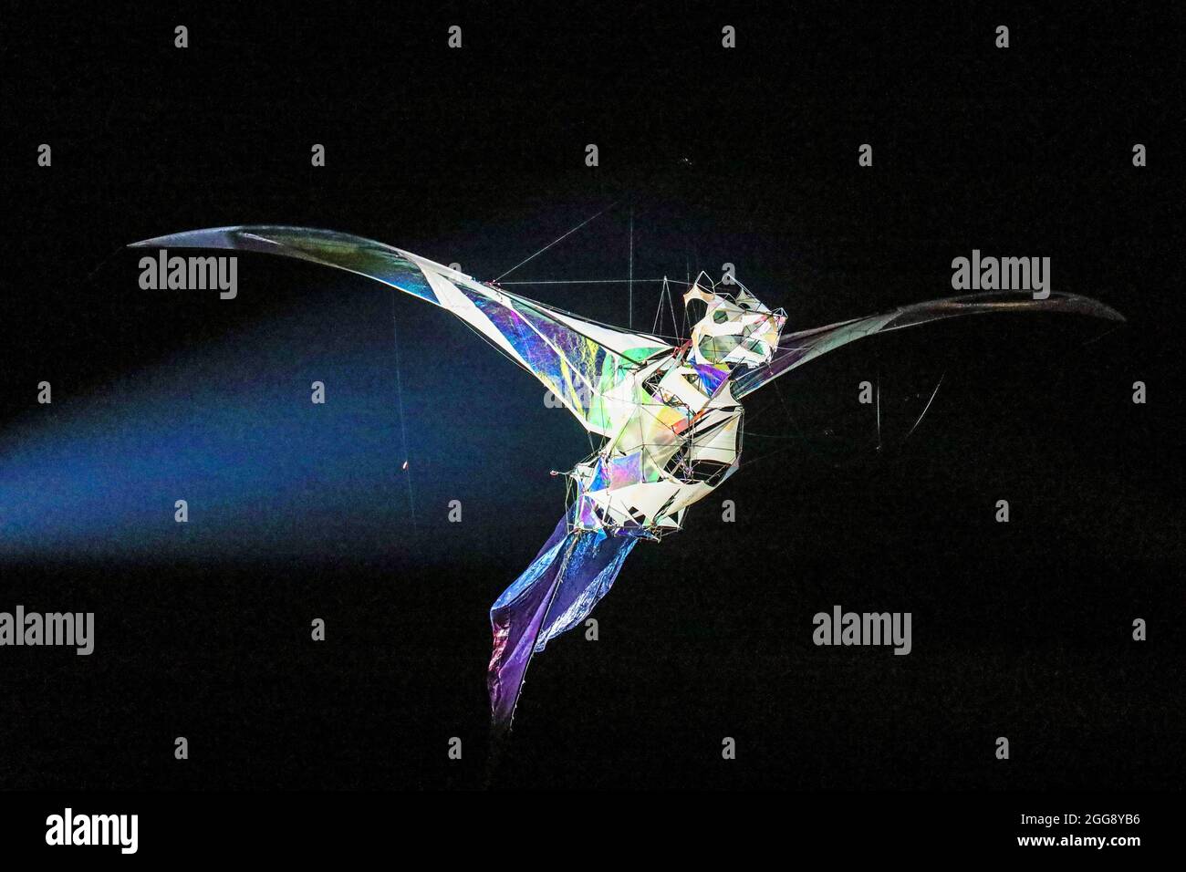 Largest ever flying creature hi-res stock photography and images - Alamy