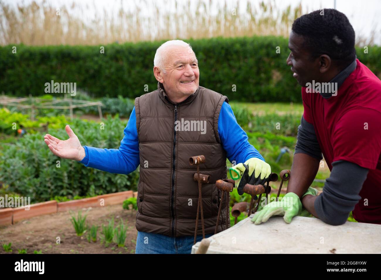 Senior man friendly talking to African neighbor Stock Photo - Alamy