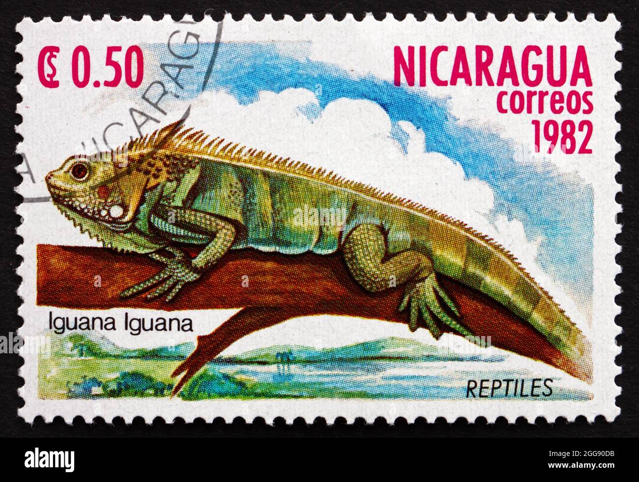 NICARAGUA - CIRCA 1982: a stamp printed in Nicaragua shows Green Iguana ...
