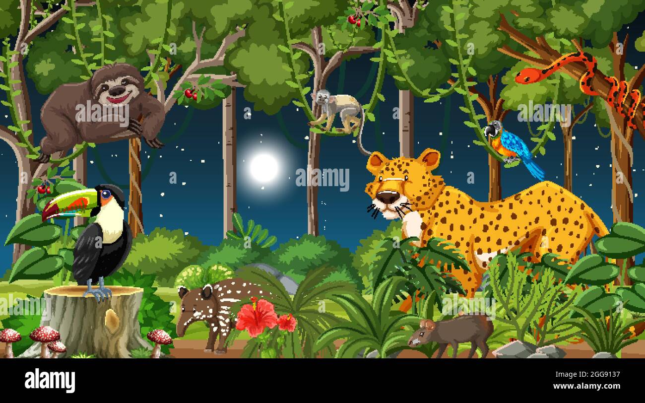 Forest at night scene with different wild animals illustration Stock ...