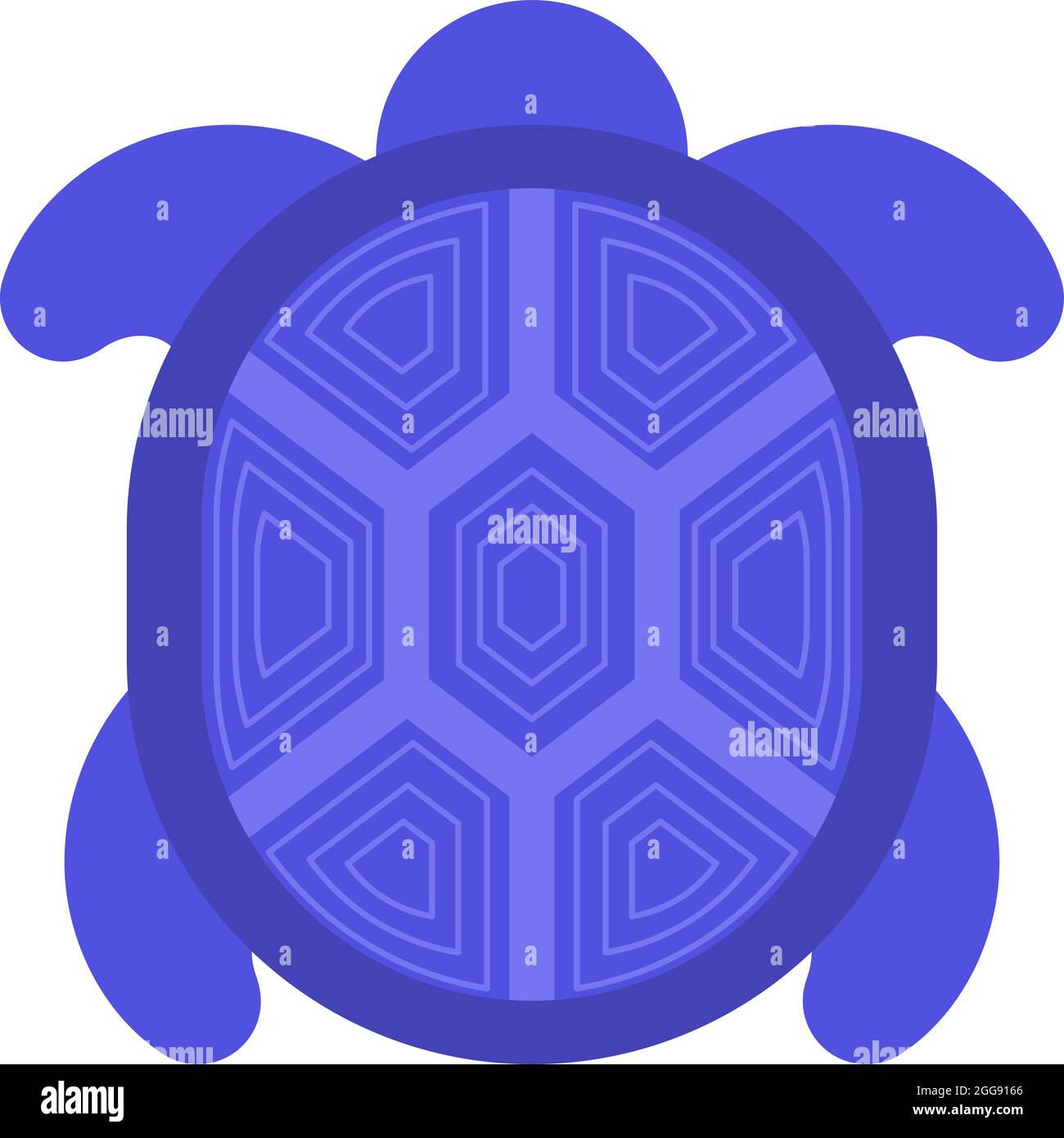 Blue sea turtle, illustration, vector, on a white background Stock ...