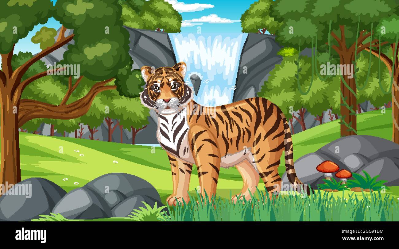 A tiger in forest or rainforest scene with many trees illustration Stock Vector Image & Art - Alamy