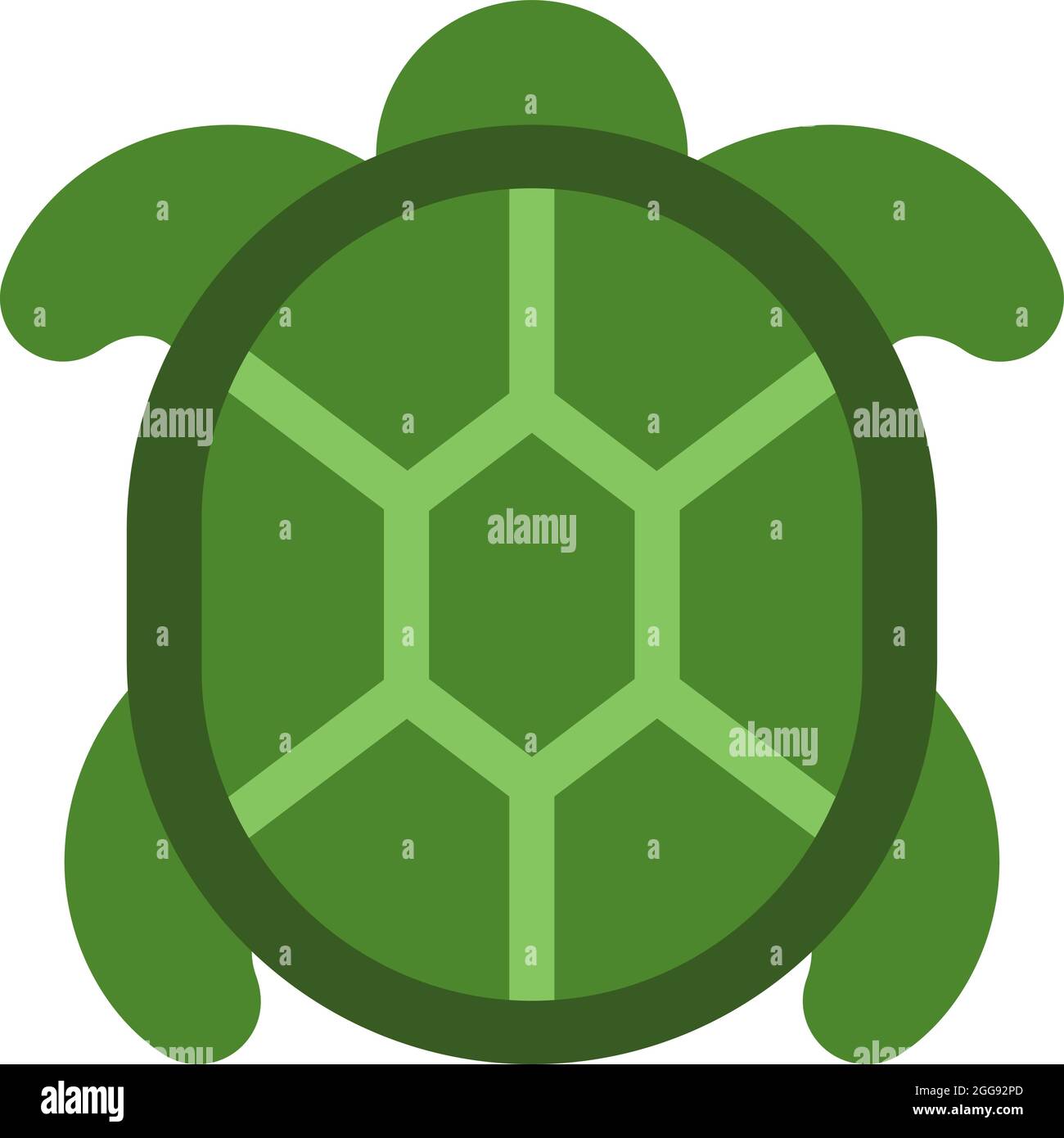 Green sea turtle, illustration, vector, on a white background Stock ...