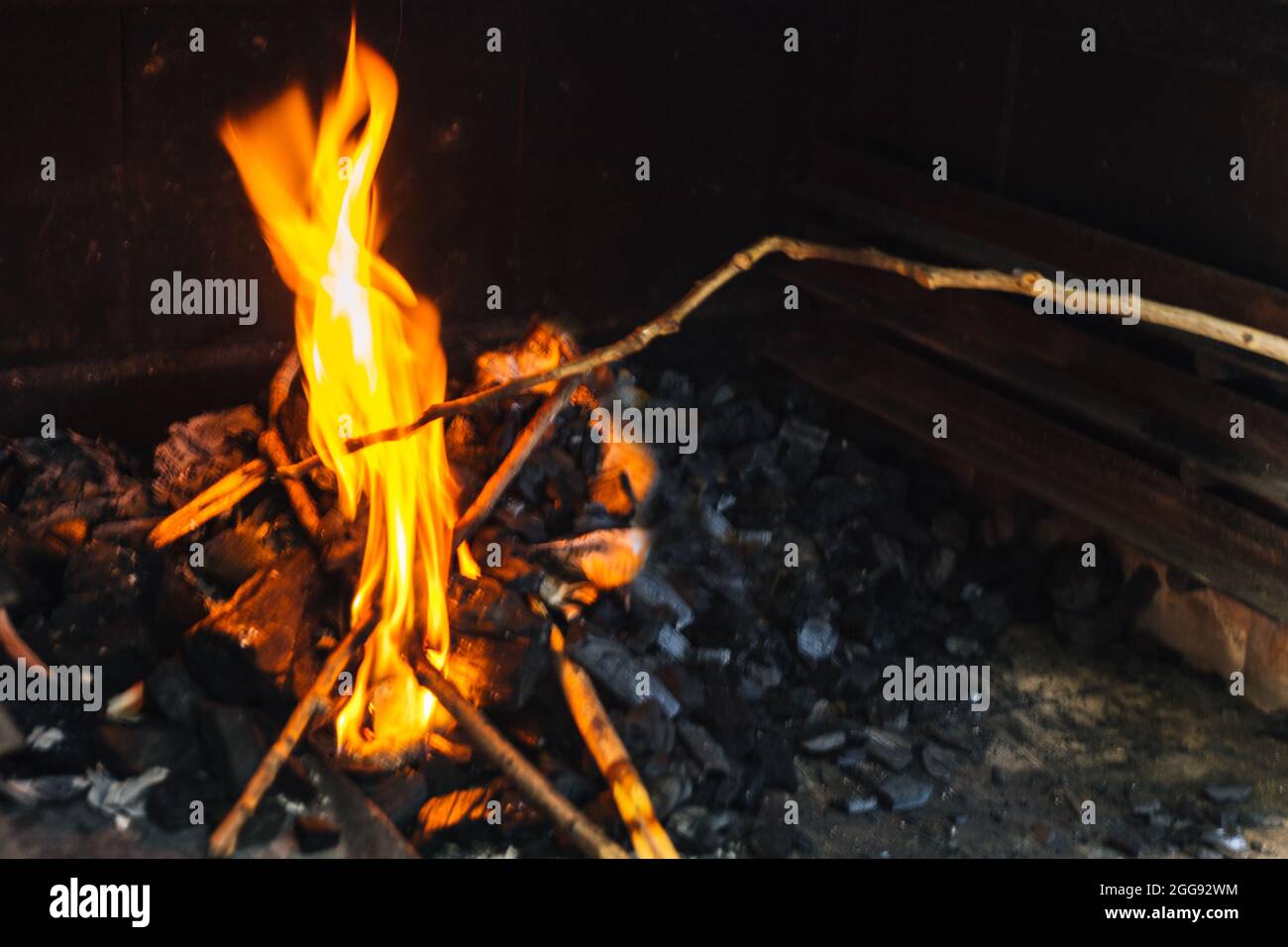 bonfire and embers lit with branches of a tree and charcoal prepared ...