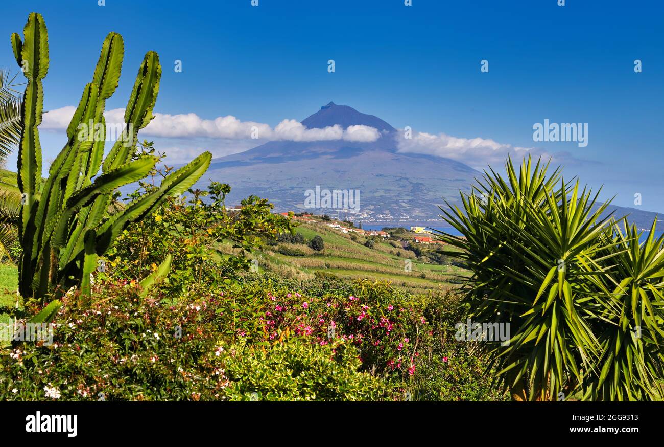 Island Pico with Volcano Mount Pico, Azores - view from island Faial ...