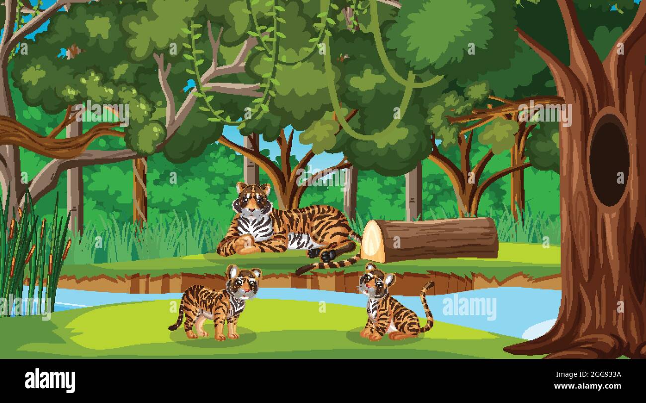 Tiger family in forest or rainforest scene with many trees illustration Stock Vector Image & Art ...