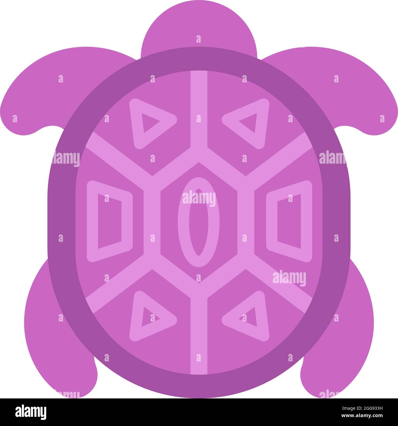 Purple turtle hi-res stock photography and images - Alamy