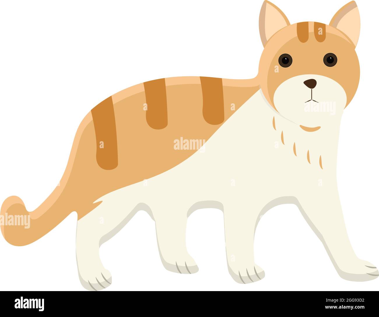 Brown cat, illustration, vector on white background Stock Vector Image ...