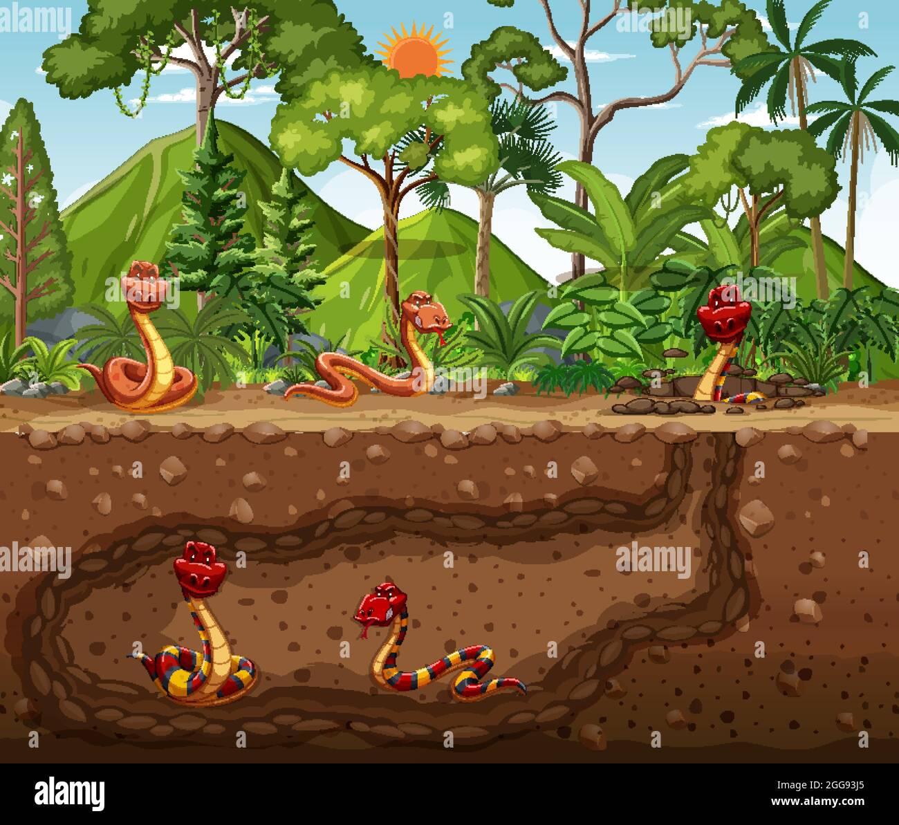 Underground animal burrow with snake family illustration Stock Vector Image & Art - Alamy
