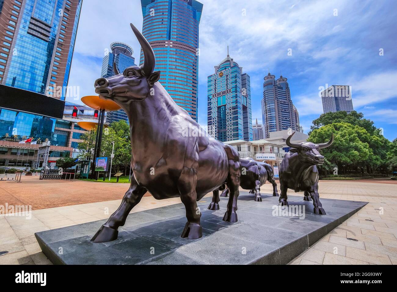 SHANGHAI, CHINA - AUGUST 30, 2021 - Three bronze bull sculptures stand ...