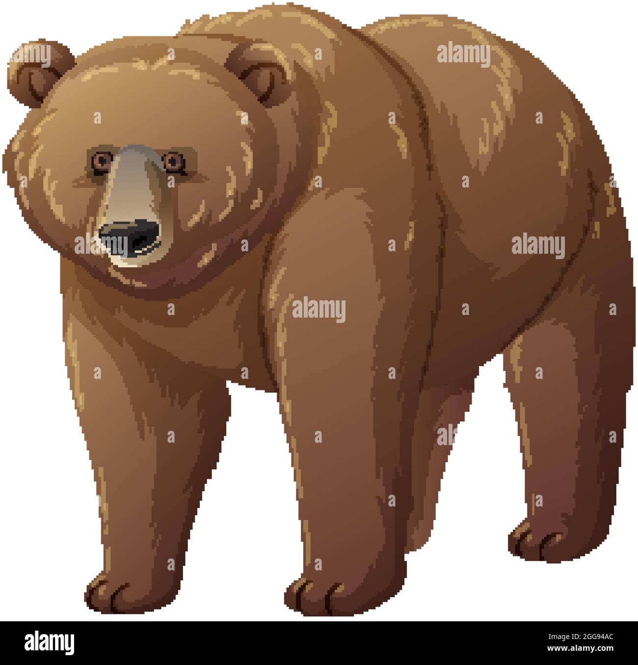 Grizzly bear animal on white background illustration Stock Vector Image ...