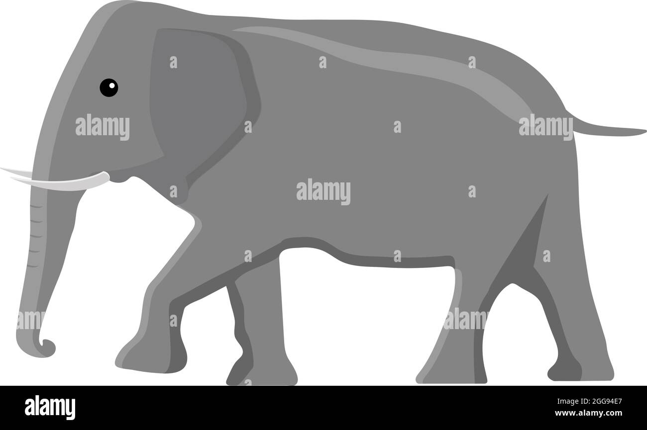 Grey elephant, illustration, vector on white background Stock Vector ...