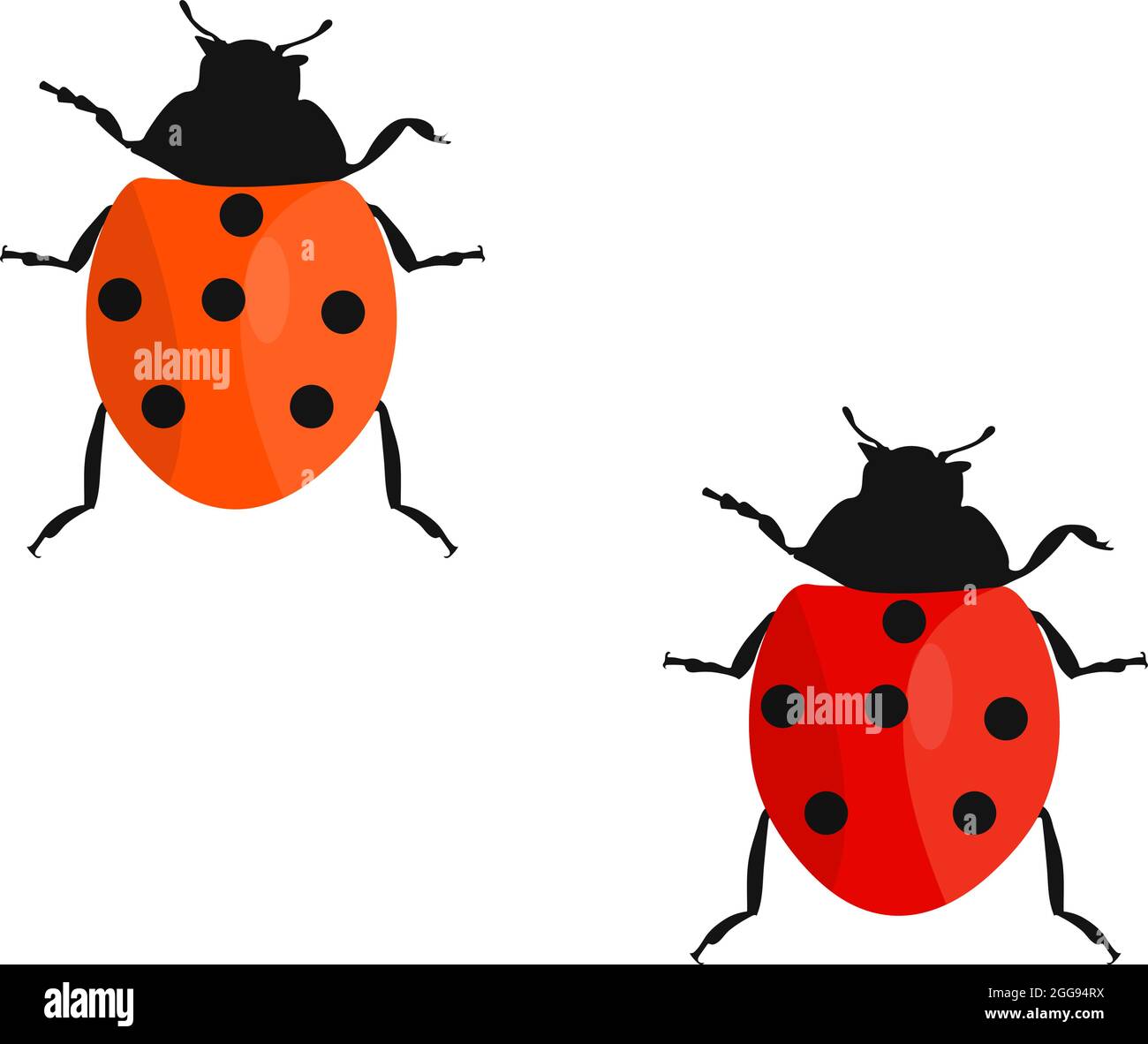 Two ladybugs, illustration, vector on white background Stock Vector ...