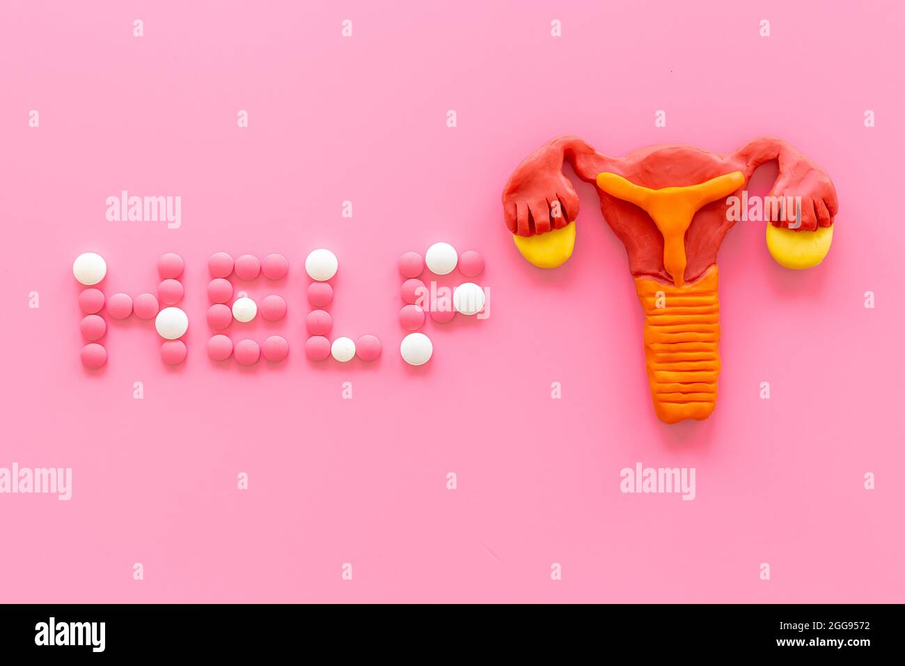 Female uterus and ovaries model - health reproductive system Stock ...