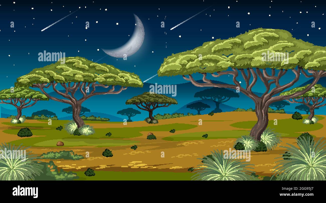 African Savanna forest landscape scene at night illustration Stock ...