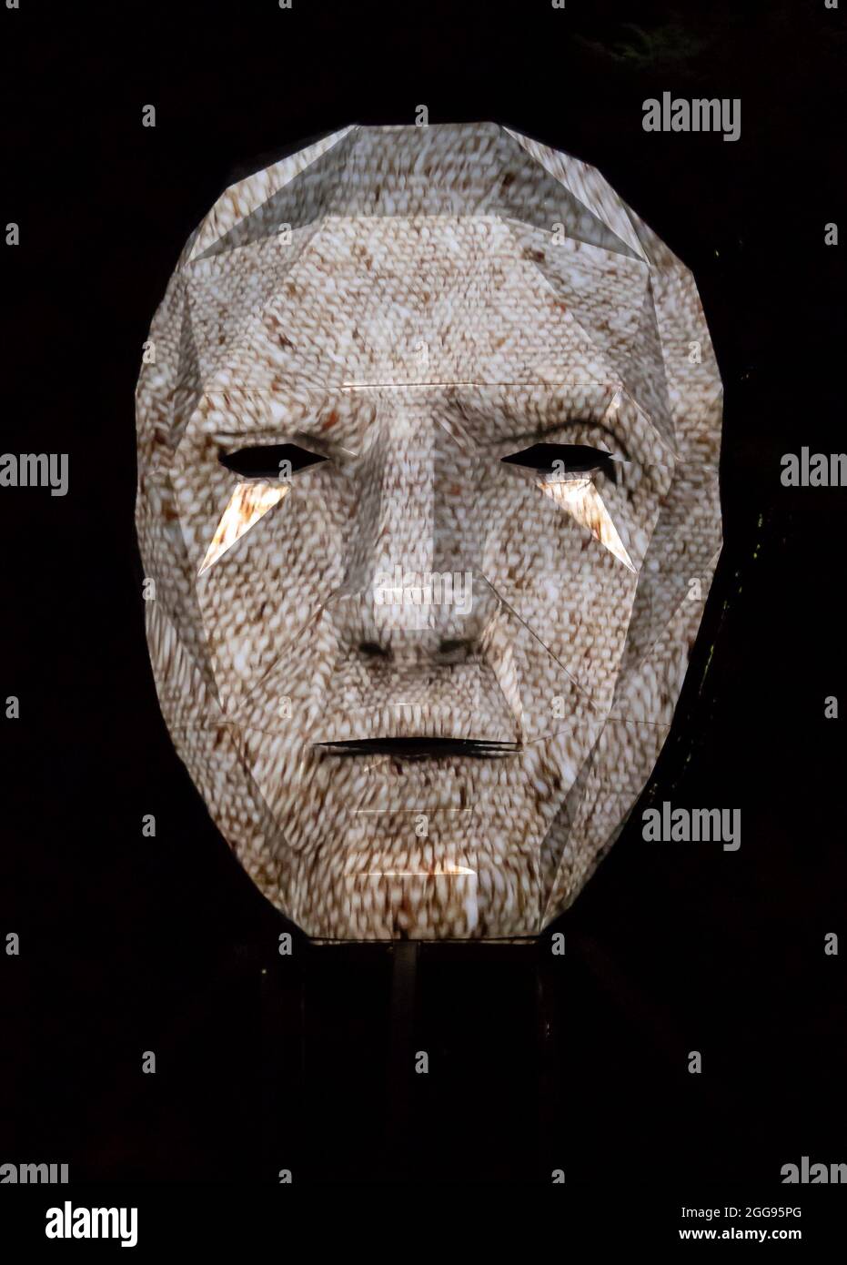 Face expression and people concept. Abstract human face, surreal ...