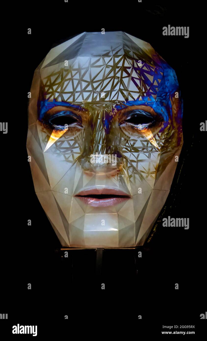 Face expression and people concept. Abstract human face, surreal ...