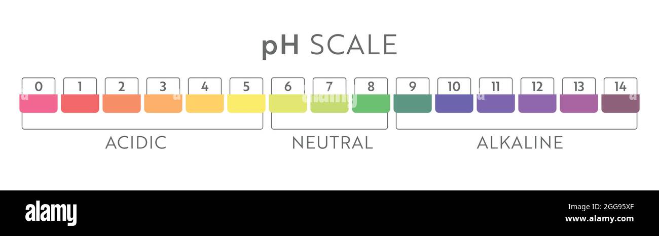 pH Value scale chart. Acid-base balance infographic. Education Poster ...