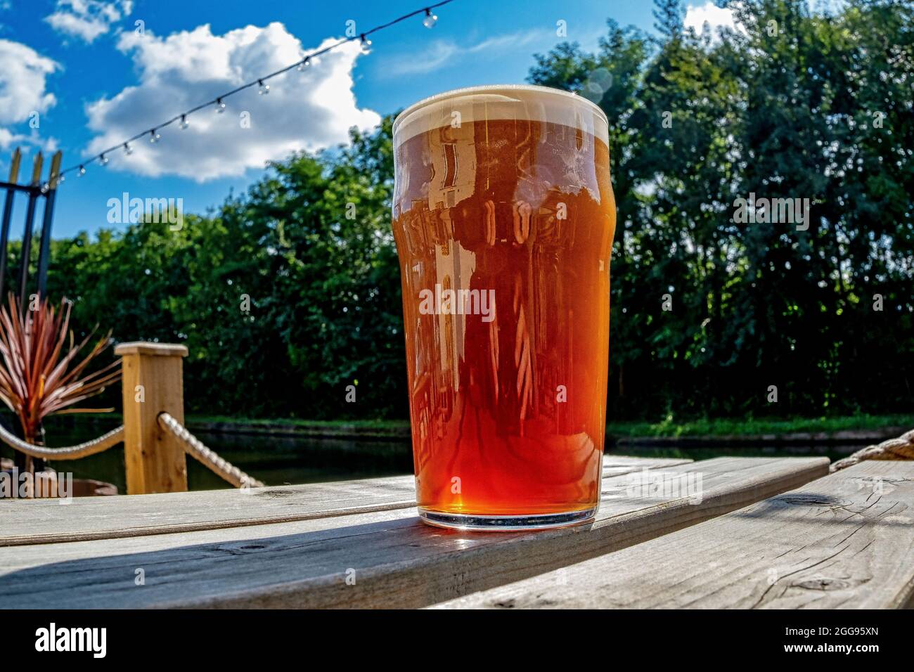 Mad ape beer hi-res stock photography and images - Alamy