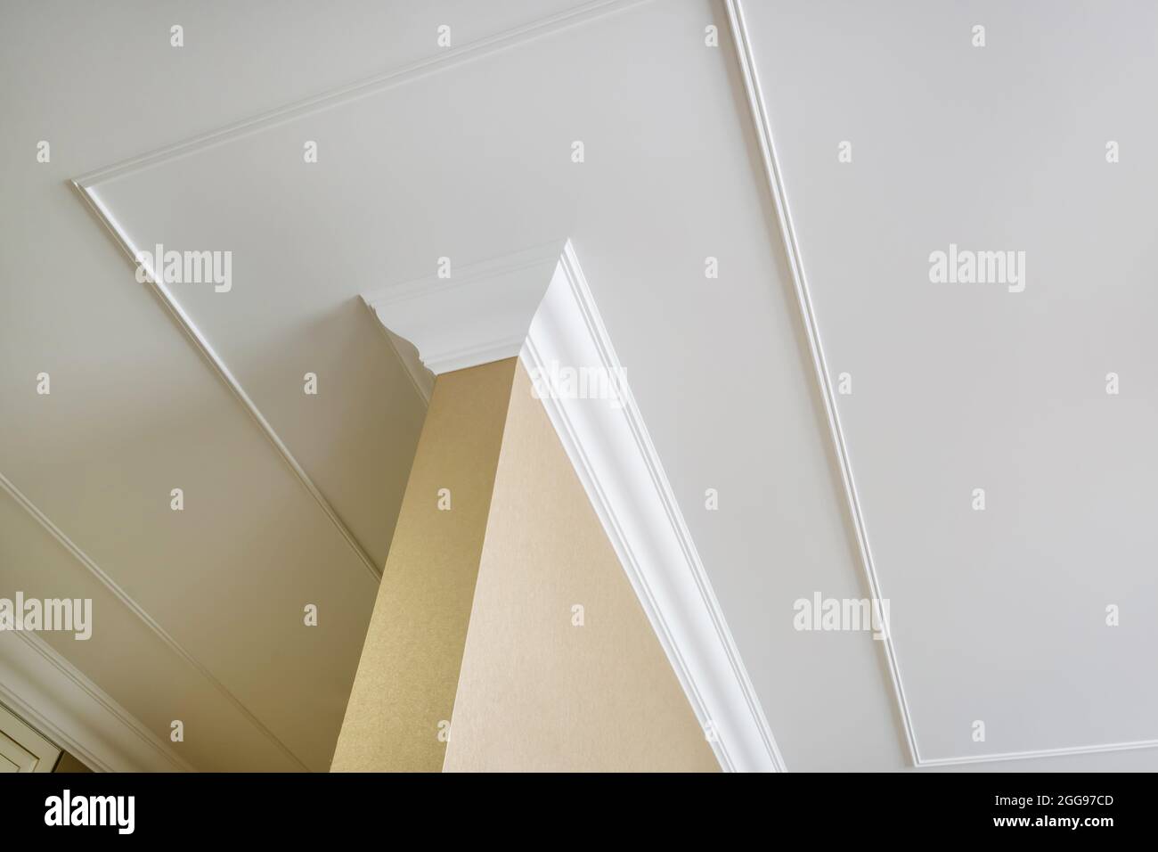Detail of corner ceiling and walls with intricate crown moulding ...