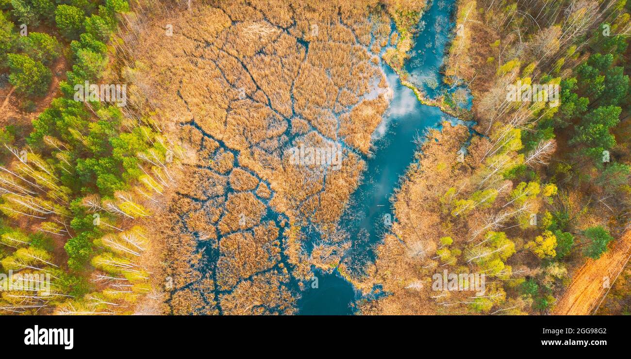 Spring Season. Aerial View. Young Birches Grow Among Small Marsh Bog ...