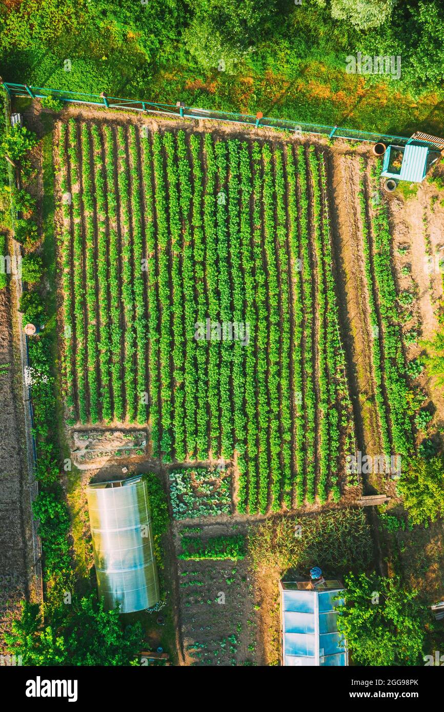 Aerial view of vegetable garden hi-res stock photography and images - Alamy