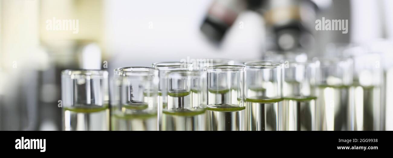 Many glass test tubes with yellow liquid standing in laboratory closeup ...