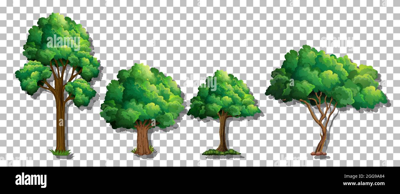 Set of various trees on transparent background illustration Stock ...
