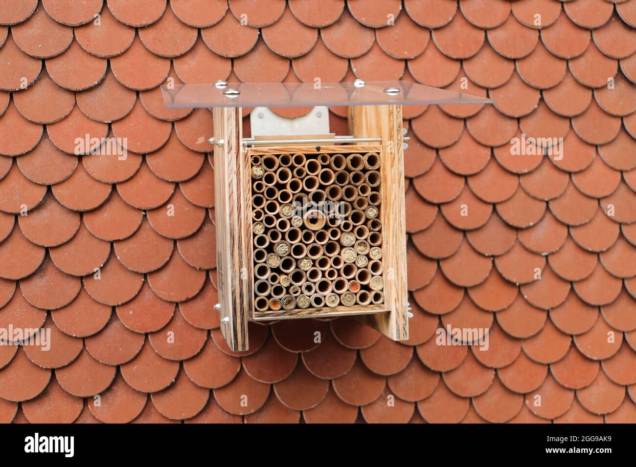 Build a bee hotel hi-res stock photography and images - Alamy