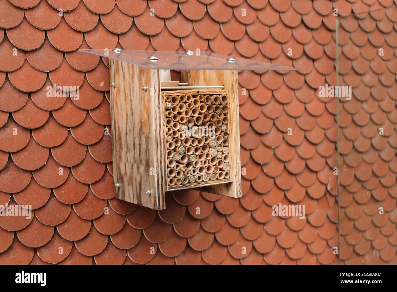 Build a bug hotel hi-res stock photography and images - Alamy