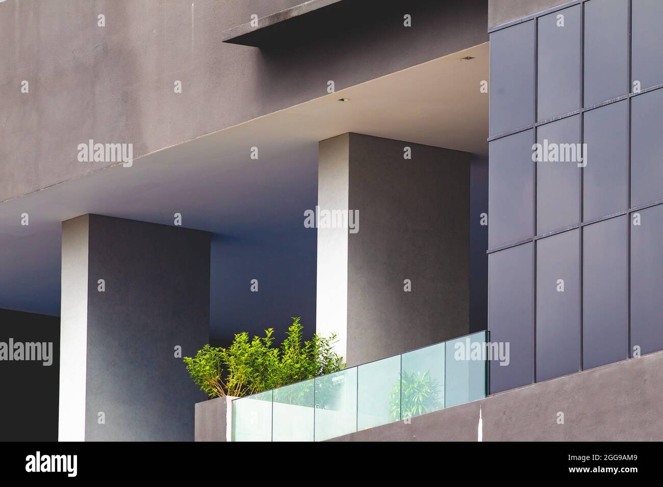Horizontal shot of an entrance of modern clean building with green ...