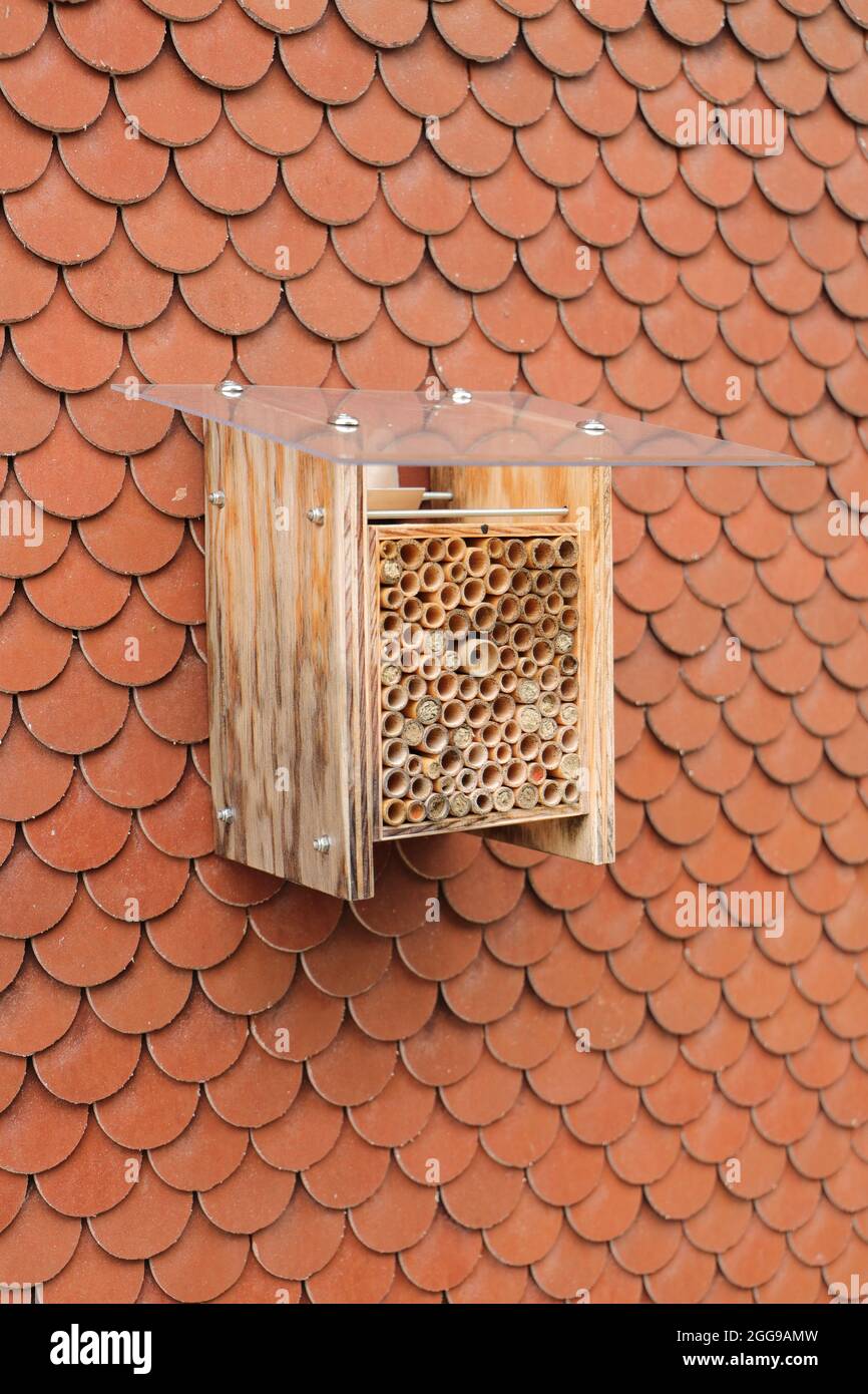 a small insect hotel on a wall Stock Photo - Alamy