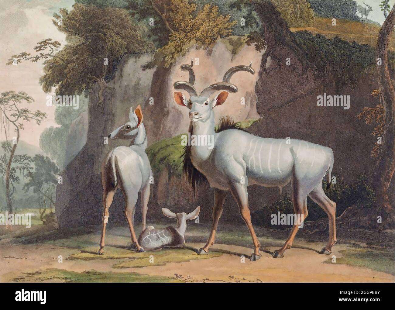 Kudu plate hi-res stock photography and images - Alamy