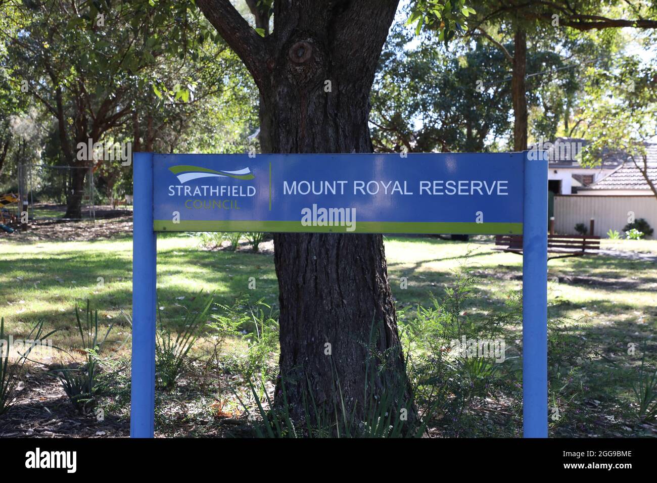 Mount Royal Reserve, Barker Rd, Strathfield NSW 2135 Stock Photo - Alamy