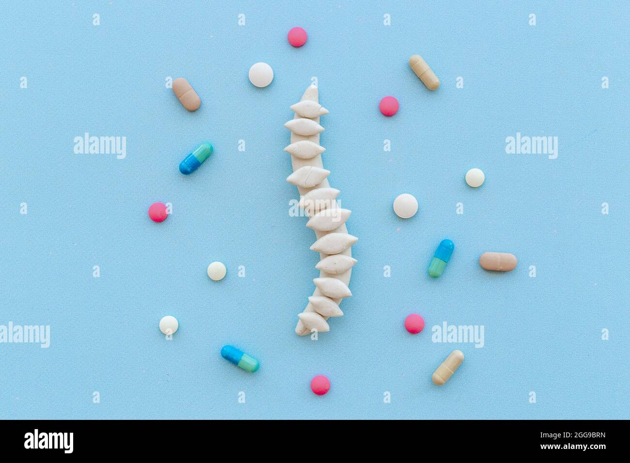 Strong healthy spine with medicine pills. Top view Stock Photo - Alamy